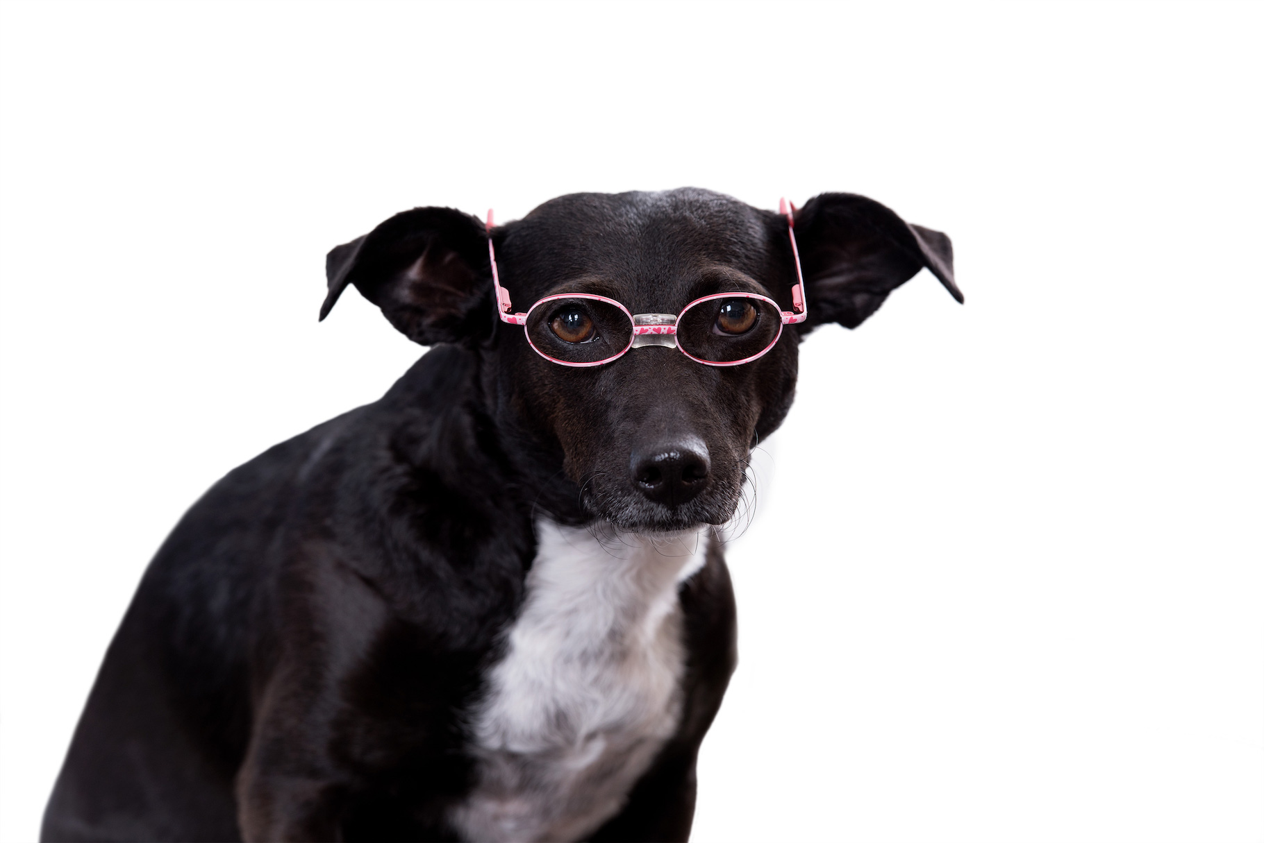 Optik – www.munkes-optik-akustik.de